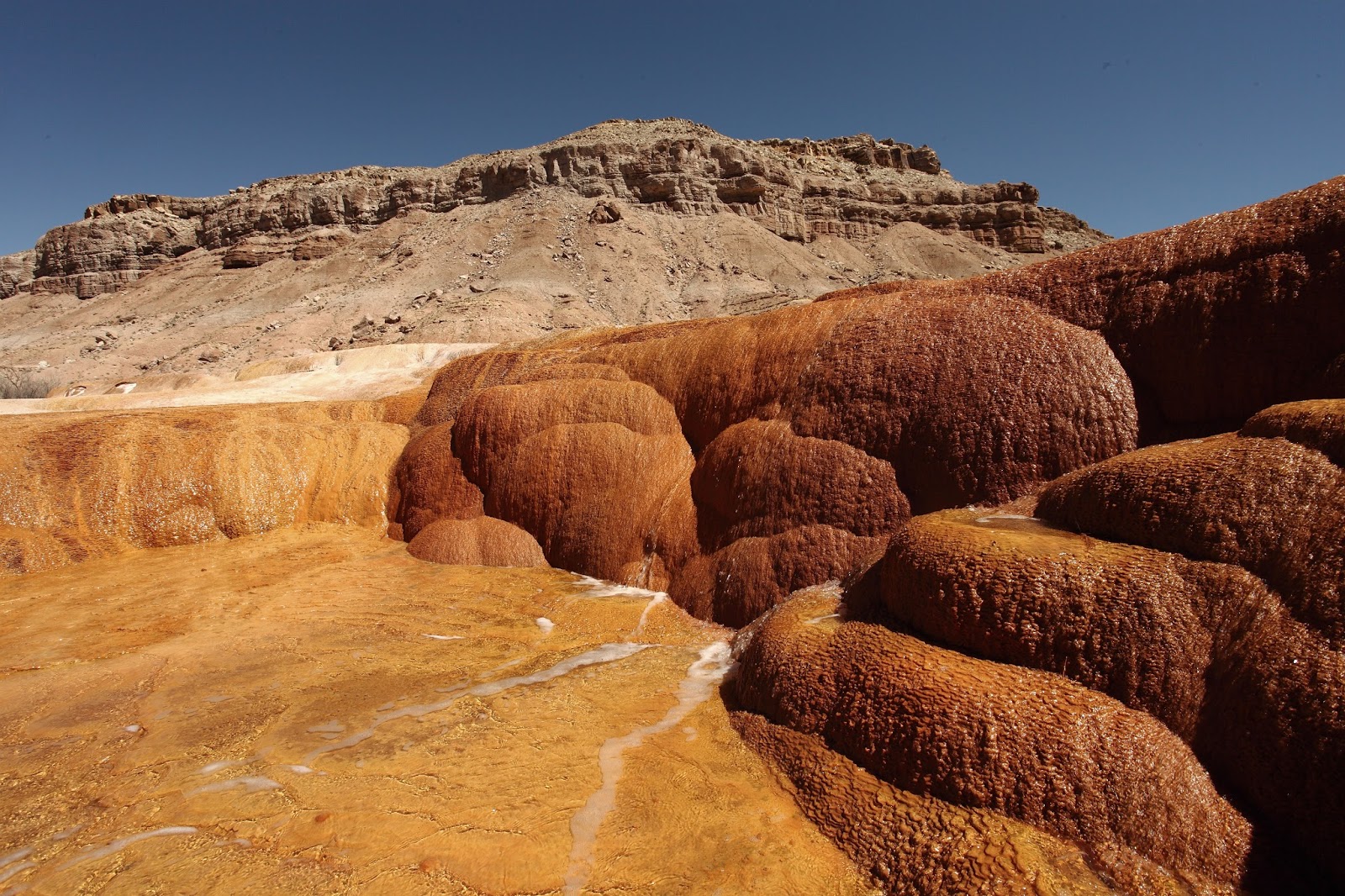 CRYSTAL COLD WATER GEYSER IN GREEN RIVER, UTAH - ADAM HAYDOCK