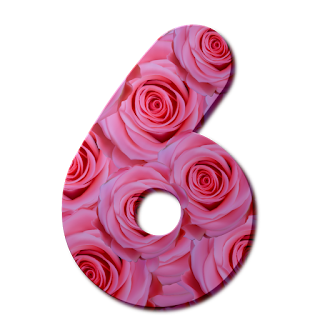 M. Michielin Alphabets: PINK ROSE ALPHABET FRANK LETTER, NUMBERS PNG ...