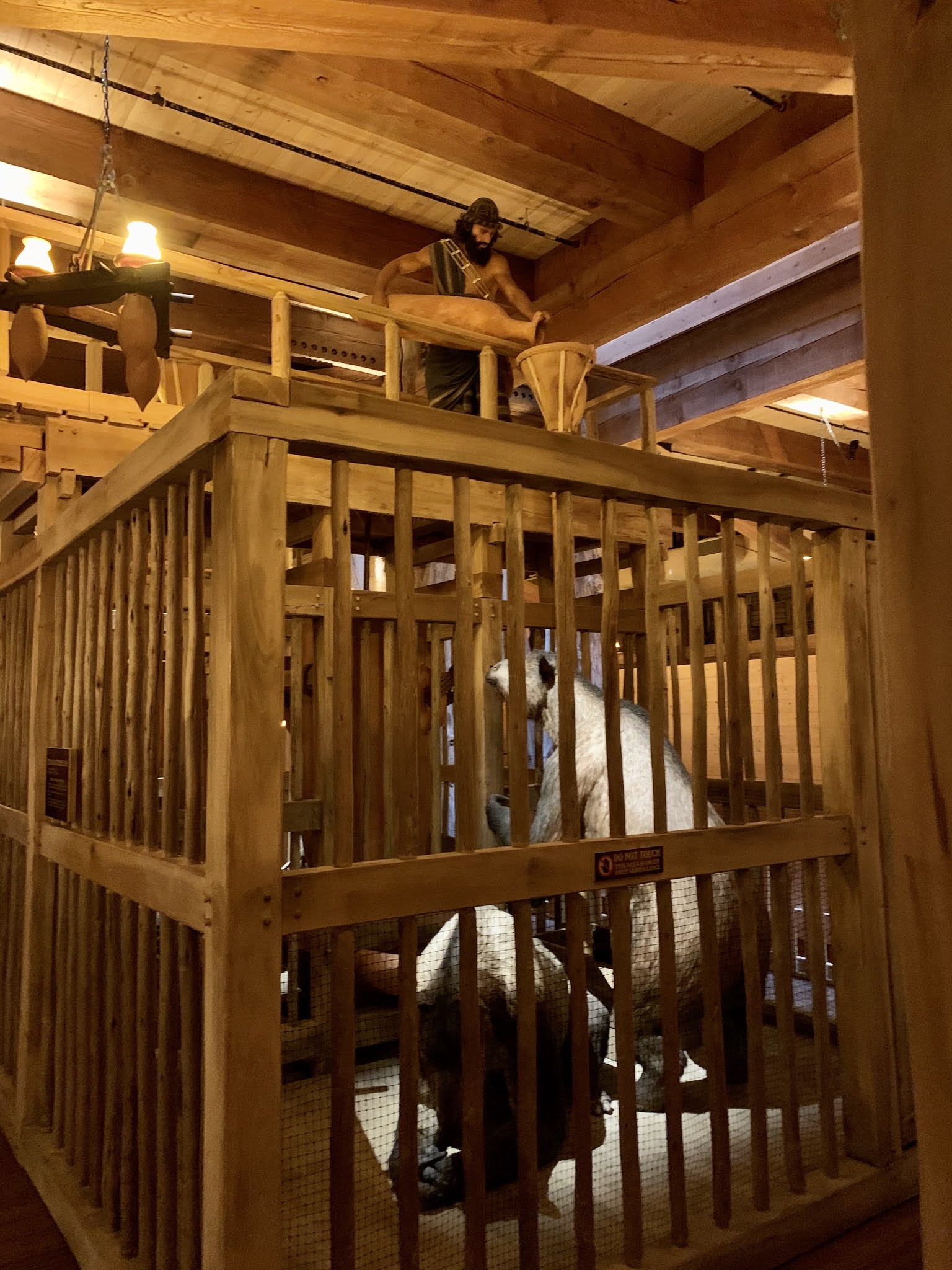Amy's Creative Pursuits: The Ark Encounter - Inside the Ark