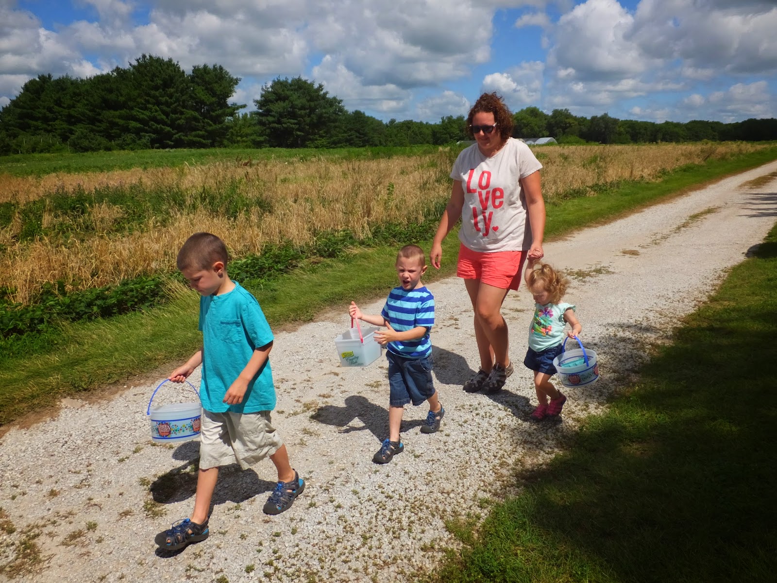 Kidspert: Let's Go Berry Picking