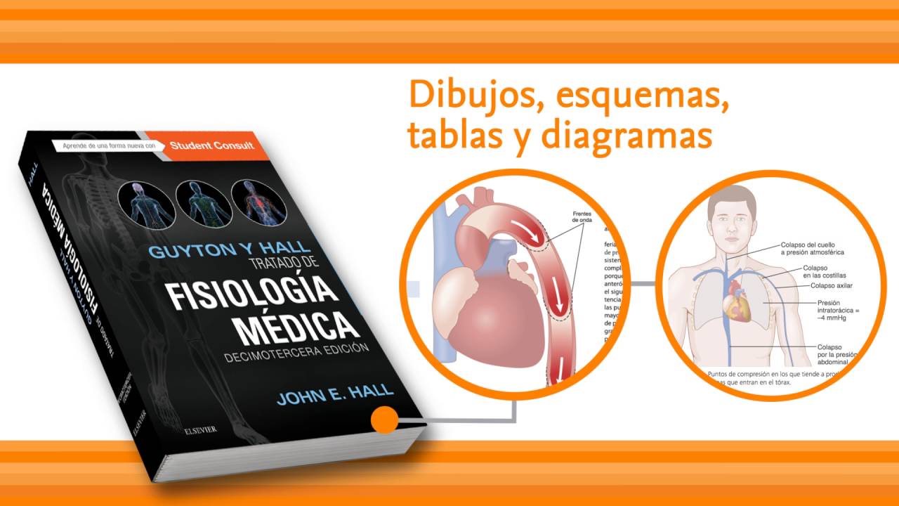 FISIOLOGÍA DE GUYTON 13 EDICIÓN (ESPAÑOL) ~ LIBROS DE MEDICINA ...