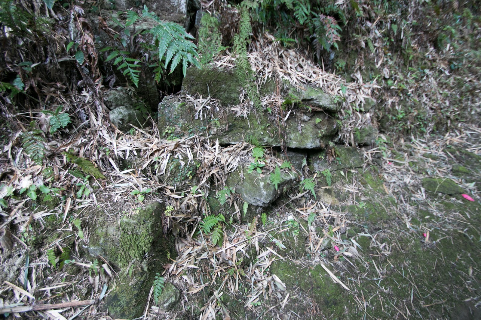 Inamura Castle -History of peninsular brave (2) Coup d'etat erased from ...