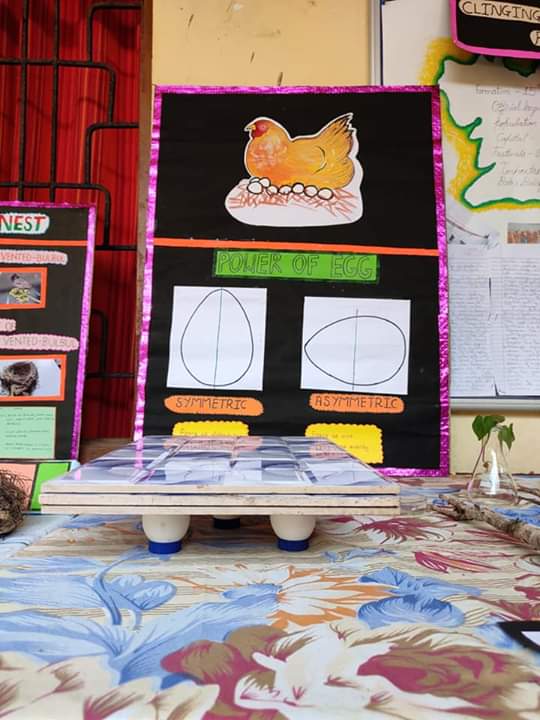 sci-hub: Science Mela