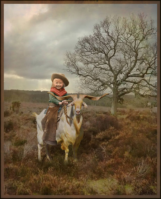 The Stardust Factory...: GOAT ROPER... DIGITAL WHISPER's BILLY GOAT ...