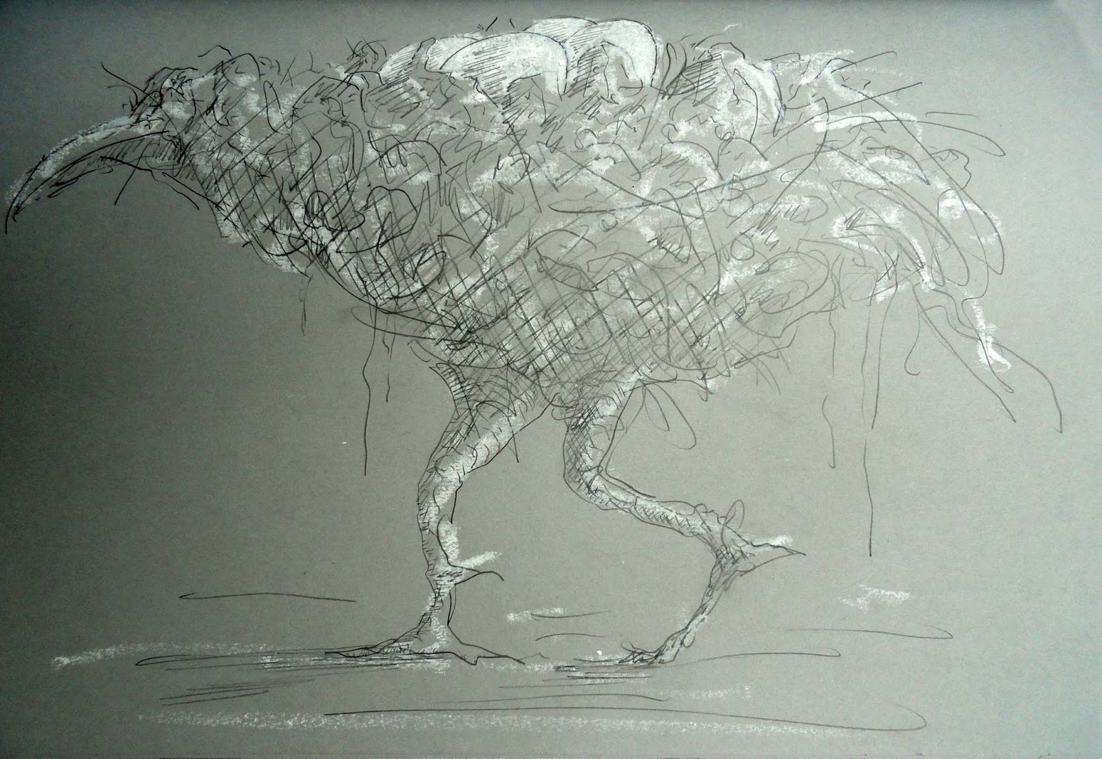 Drawing : (im)Material Disarray: An exhibition