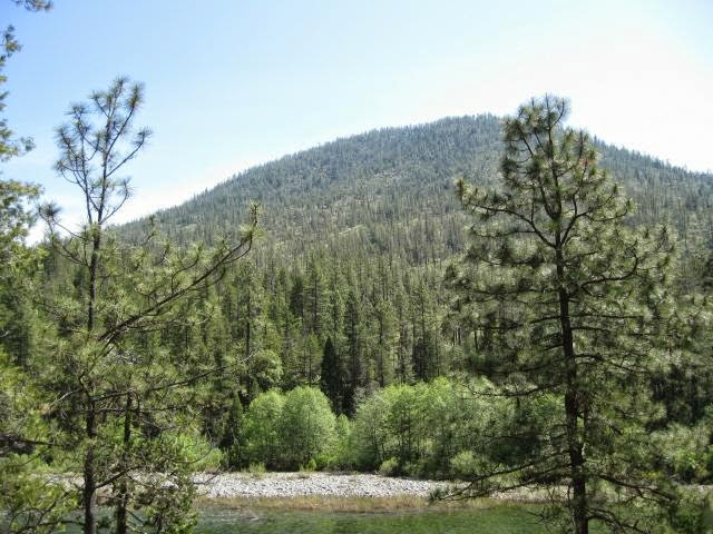 Hiking Sasquatch Country: Lake Selmac