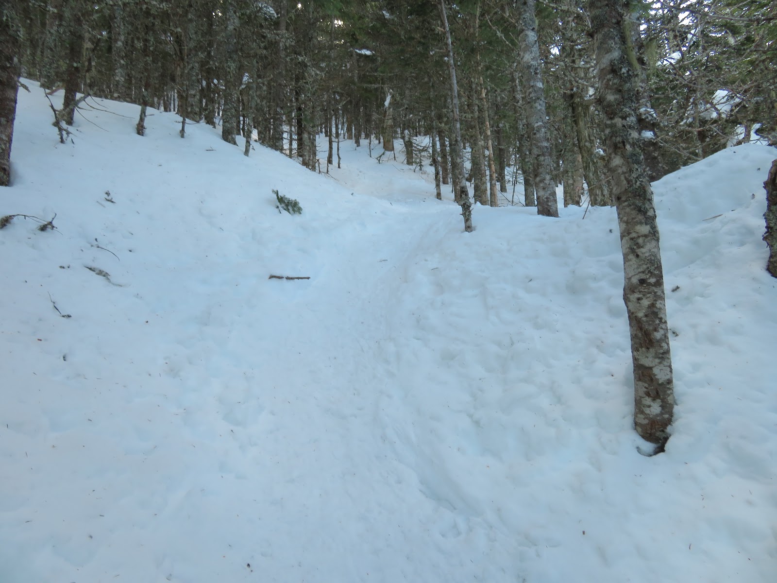 Mountain Wandering: North Tripyramid via North Slide: 3/5/20