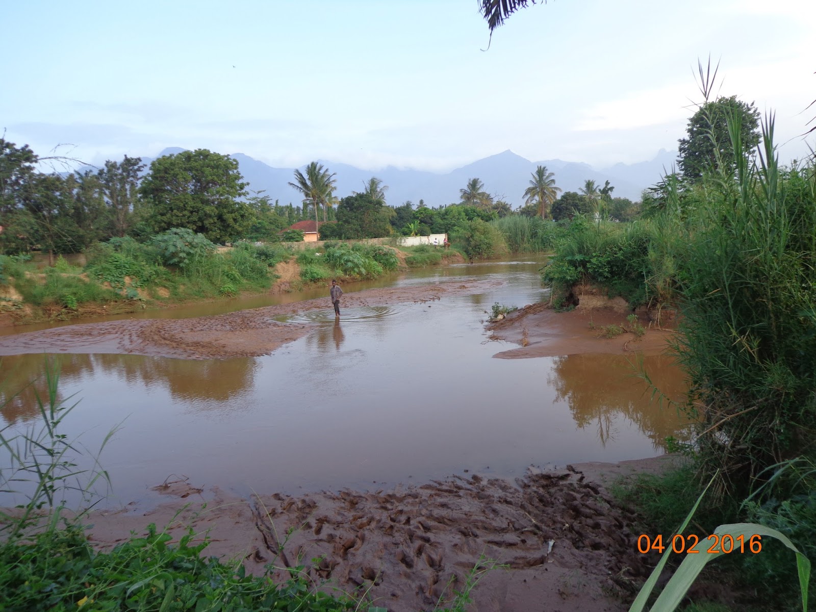 TRACING CHALLENGES AND OPPORTUNITIES : HORTICULTURAL FARMING AT MAZIMBU