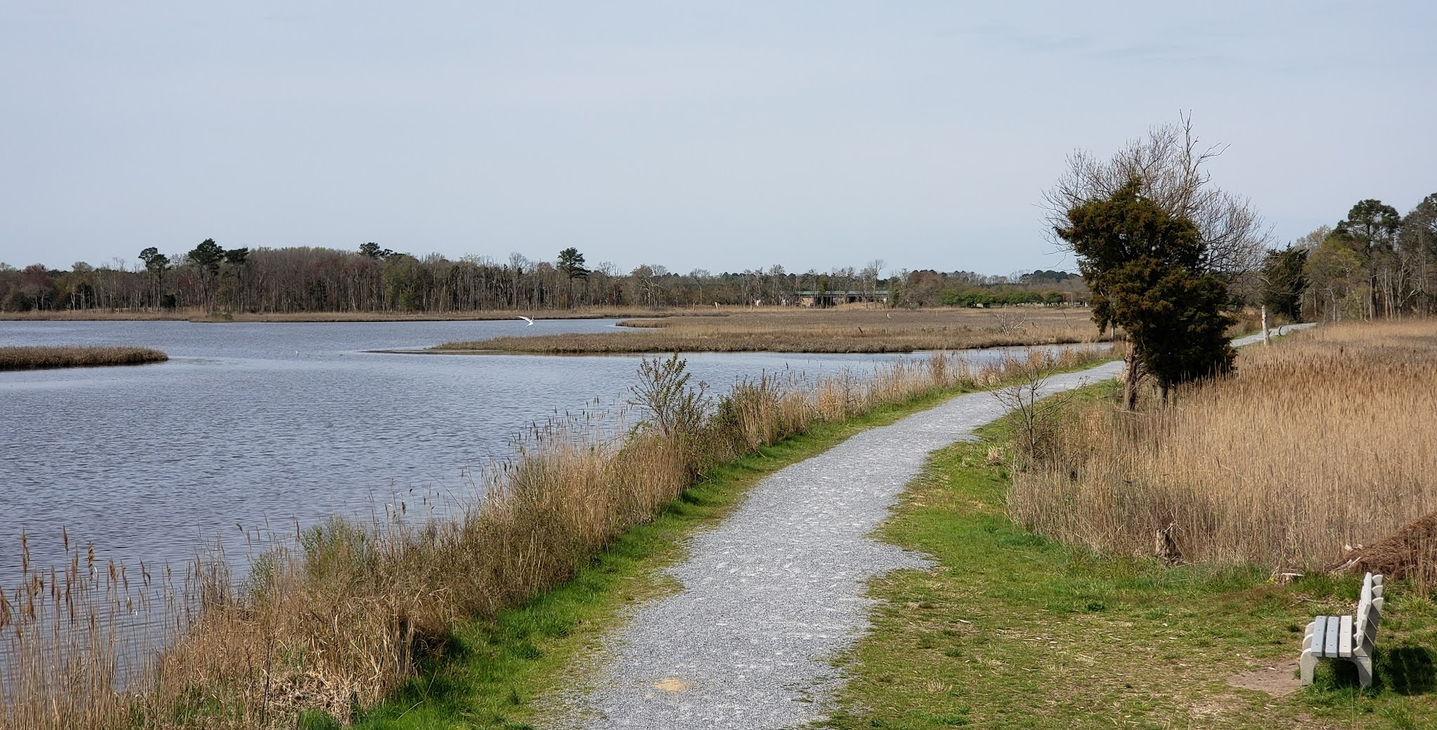Prime Hook National Wildlife Refuge: A Quieter Alternative to Bombay Hook