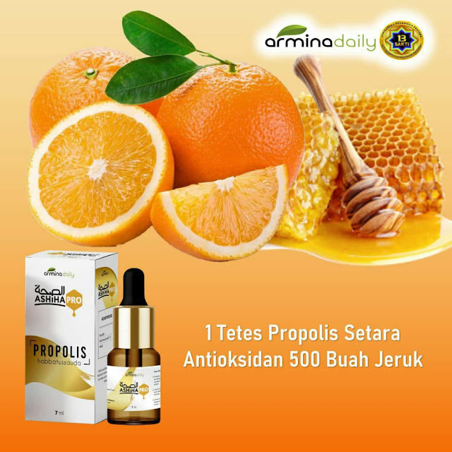 BISNIS ARMINADAILY: 1 Tetes Propolis Setara Antioksidan 500 Buah Jeruk