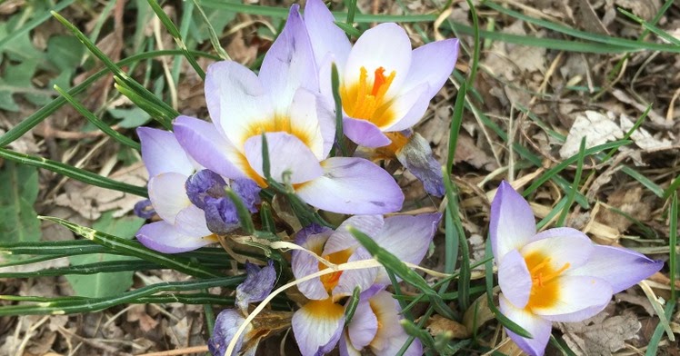 TeacherDance: #PoetryFriday #NPM17 - Poem 7 of 30