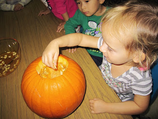 Preschool For Rookies: What inside a pumpkin?