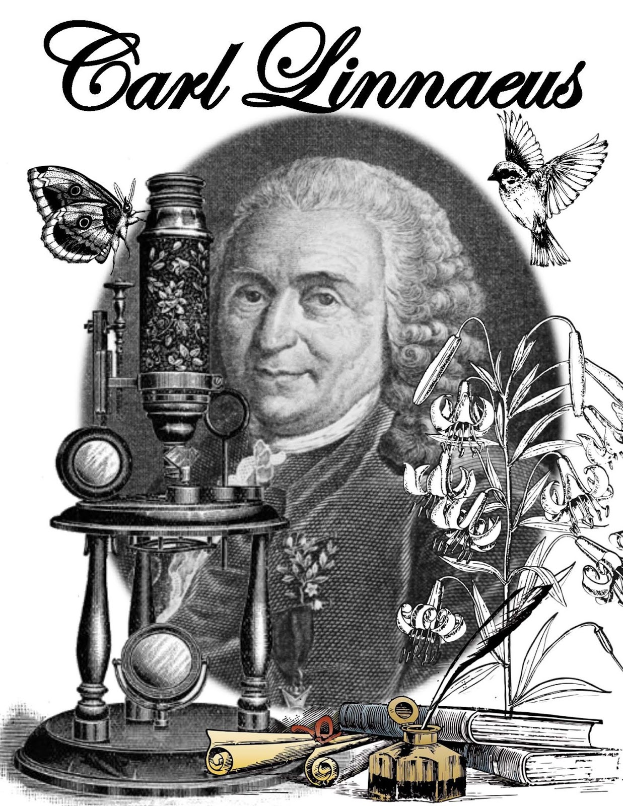 The Hermit Crabs Homeschool: Carl Linnaeus Unit and Interactive Notebook