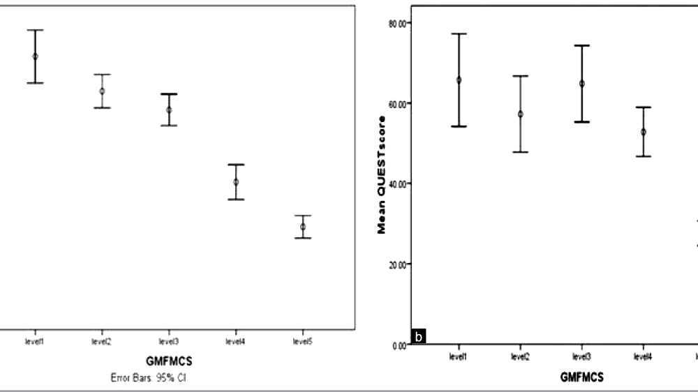 Gross Motor Function Classification System