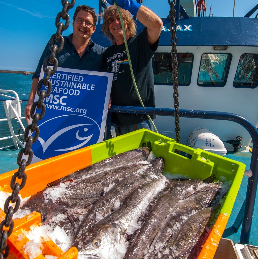 Through the Gaps! - Newlyn Fishing News: Cornish hake achieves MSC ...