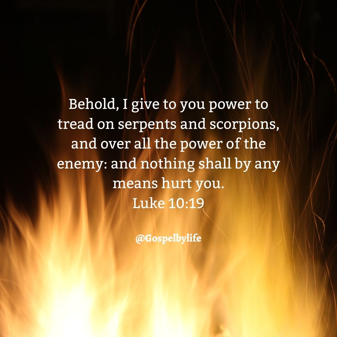 Power To Trample Snakes And Scorpions Gospelbylife power-to-trample-snakes-and-scorpions-gospelbylife