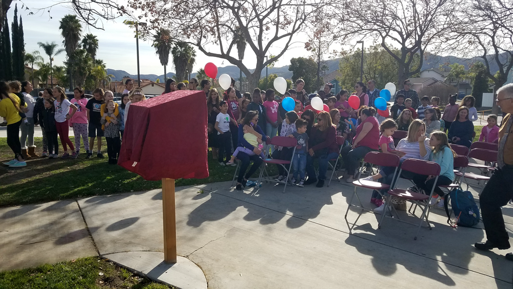 Wildomar Rap: • Little Free Library Number 8