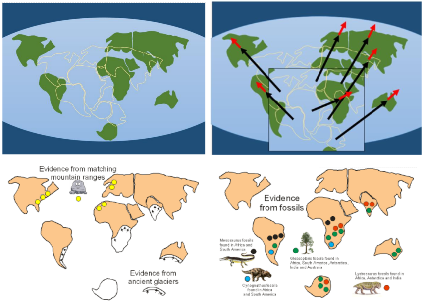 Earth Learning Idea: Wandering continents - continental drift