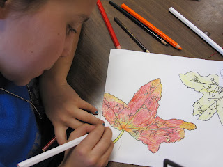 Lake and Hartville Elementary Art: 5th Grade Studies Contour Line and ...