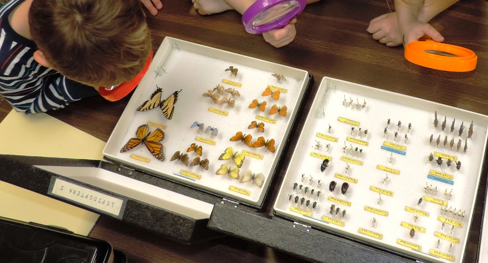 Teaching Minds Reaching Hearts: Chapter 7: Manipulatives, Experiments ...