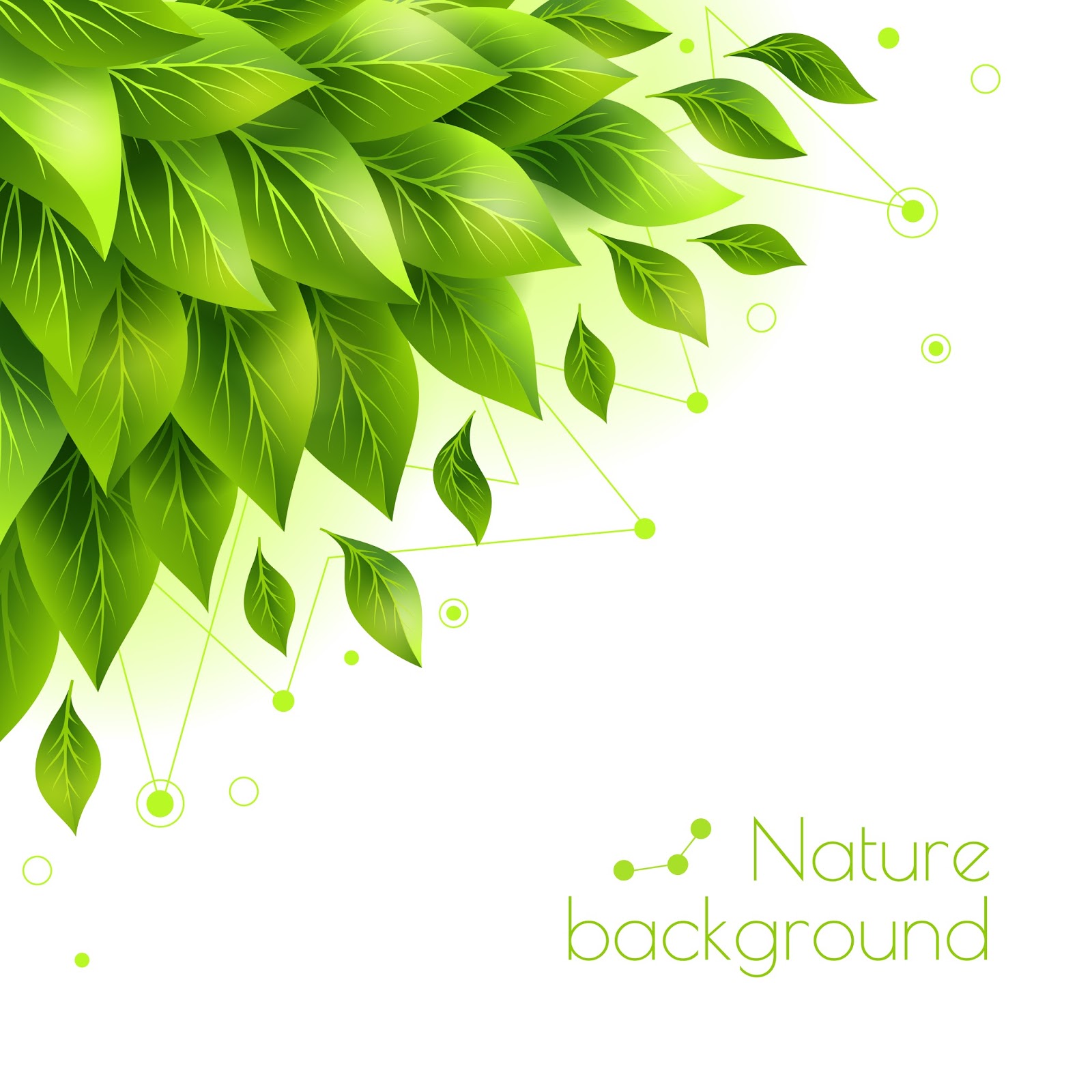 Блог Колибри: Natural vector background, flowers