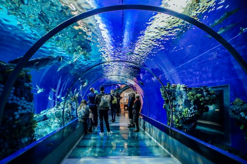 Top 10 Biggest Aquarium in the USA
