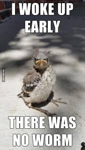 50 Best Funny Good Night Memes for Facebook and WhatsApp