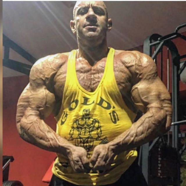world bodybuilders pictures: espanol bodybuilder javier sanchez