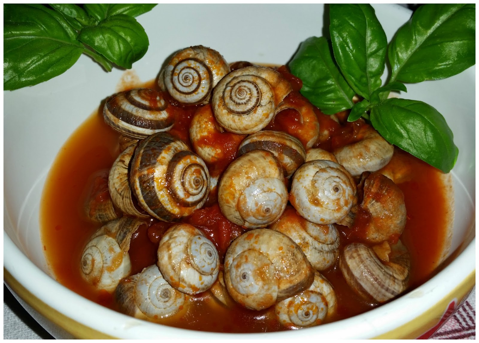 La Creatività di Anna!!!: Lumache in umido