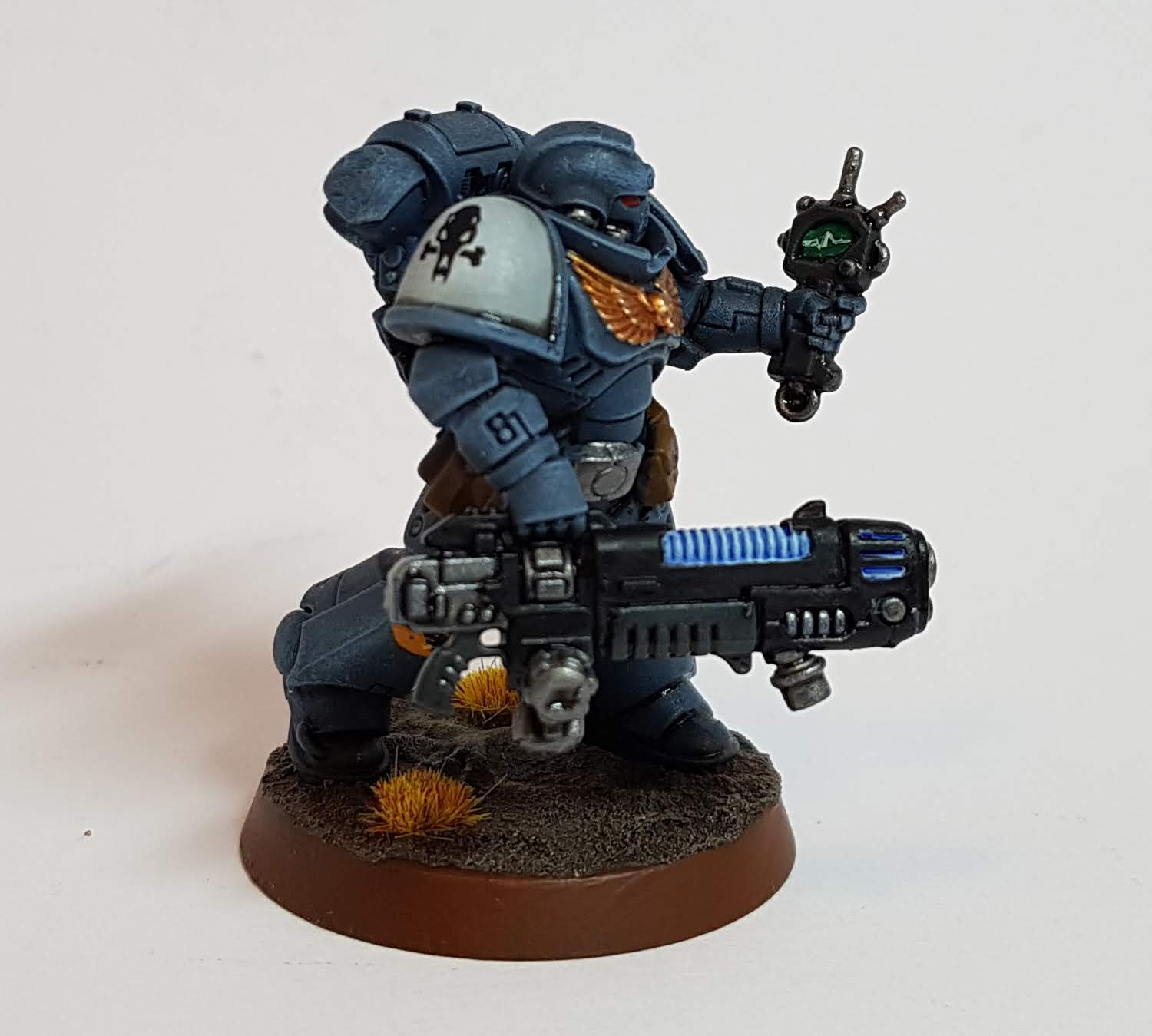 The WoffBoot Chronicles: New Year, Old Dogs