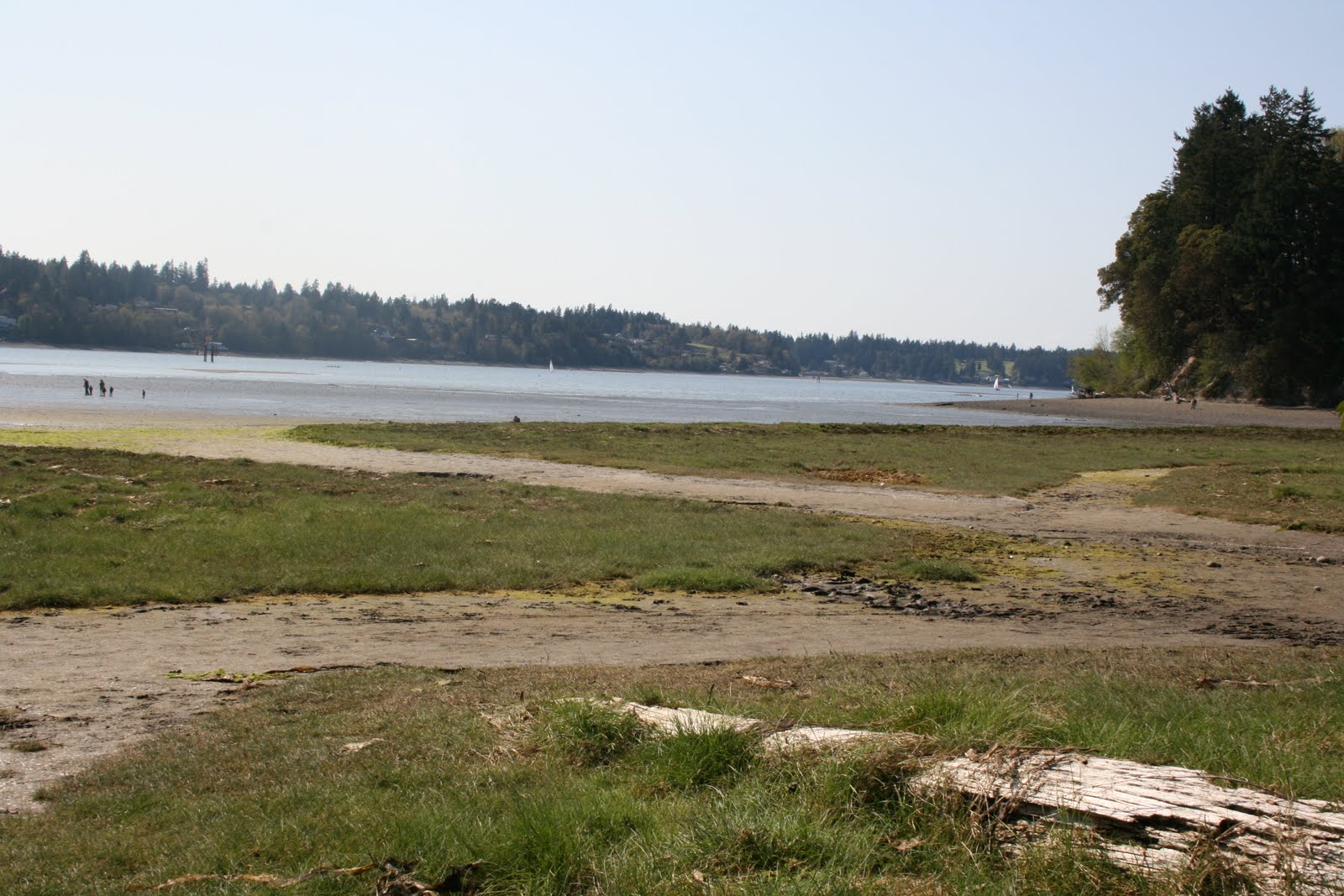 Swing and Slide: Priest Point Park