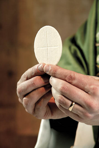 LiturgyTools.net: Pictures for the 20th Sunday of Ordinary Time, Year B