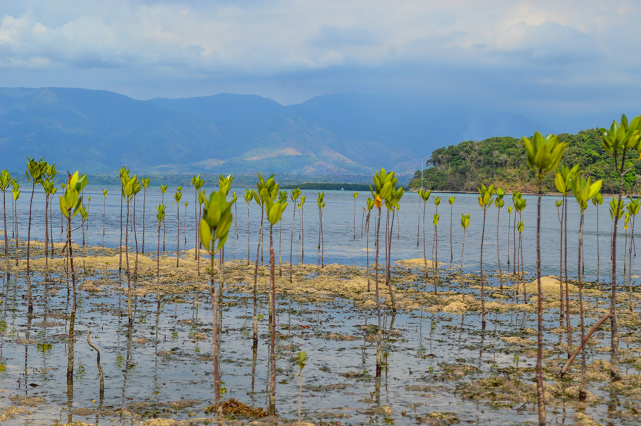 Magalawa Island - Things to Do and How to Get There | Playing Tourist