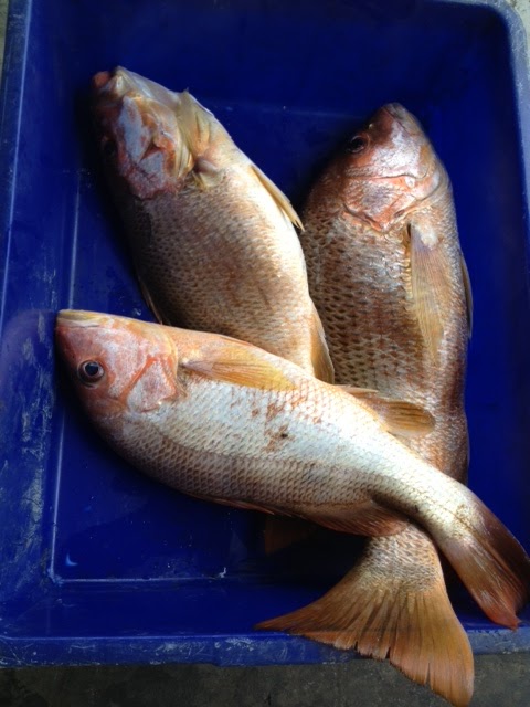 Out & About : yEn: Jenahak @ Jenak