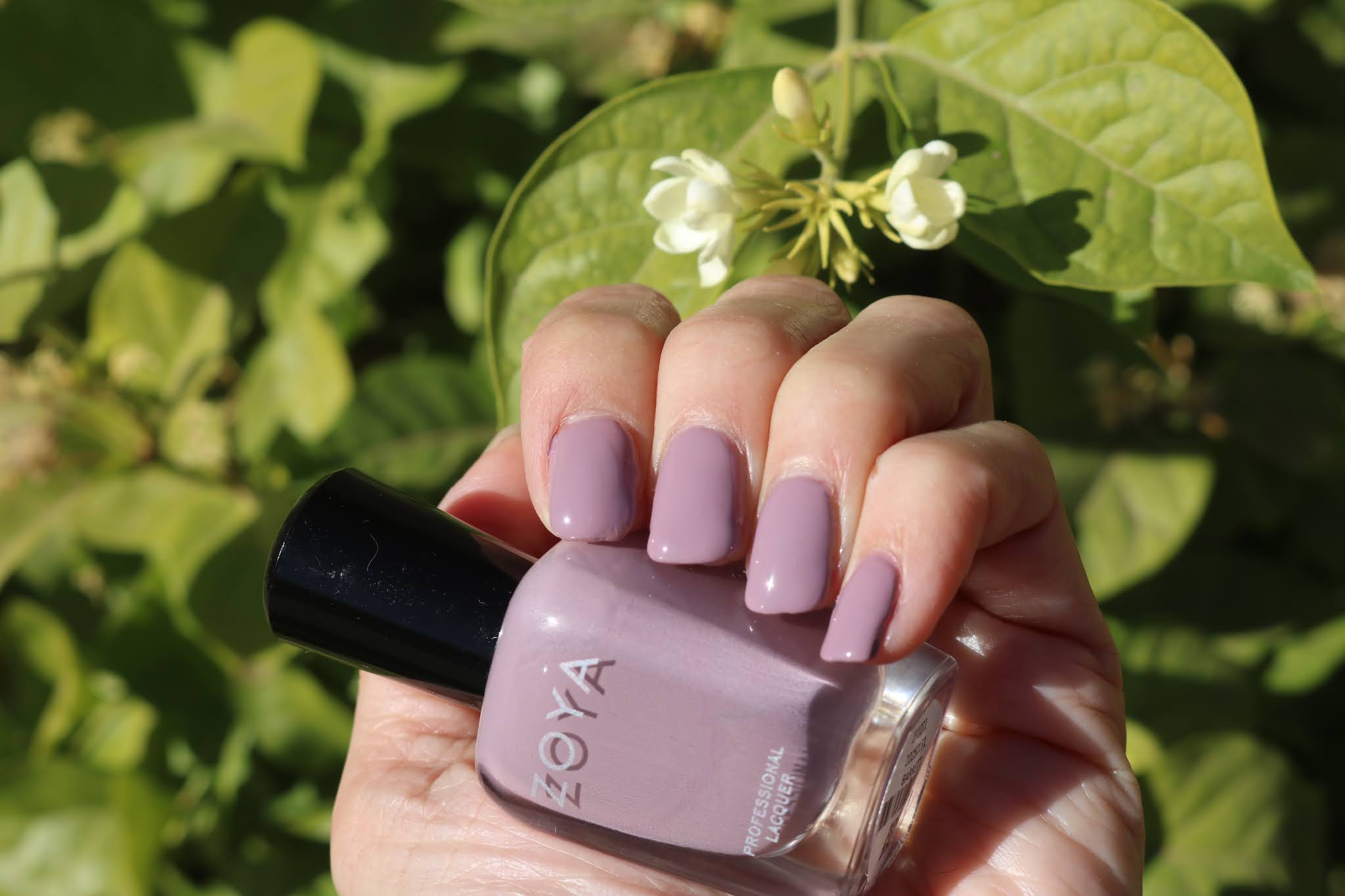 Zoya Naturel 4: Transitional 2020 Collection Swatches and Review - The Shades Of U