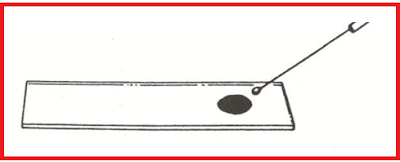 * Use another slide against the drop of suspended organisms at a 45 ...