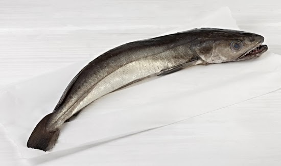 Pescadería Cisne: LA MERLUZA