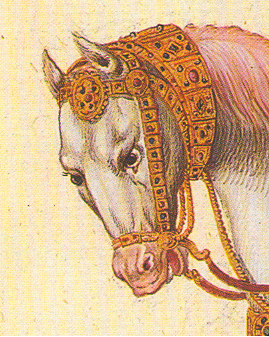 Weiner-Gozen's Blog Page: The Uniqueness of the Arabian Bridle and its ...