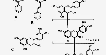 Phenolic Compounds