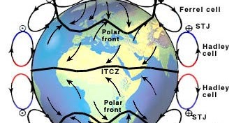 Gloss Tasks : Fact File on the Tricellular Model
