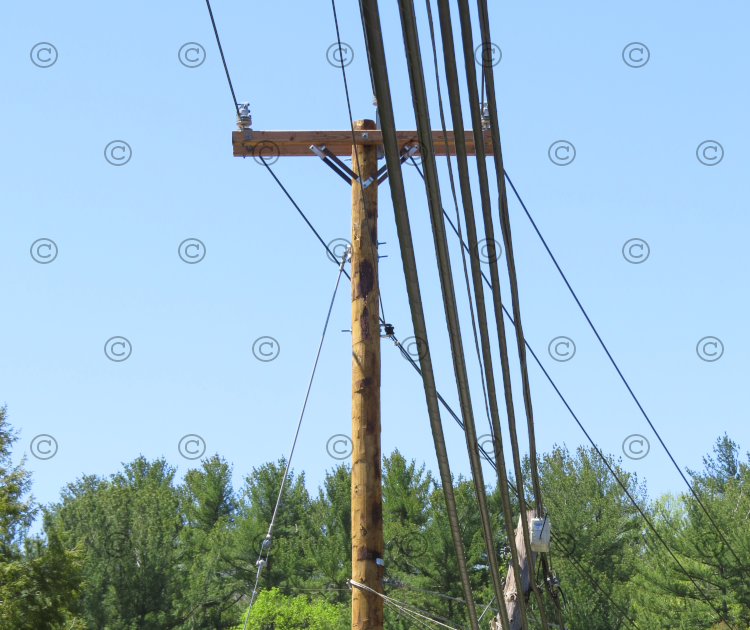 Anne's Creative Cornucopia: Precariously Snapped Telephone Pole ...