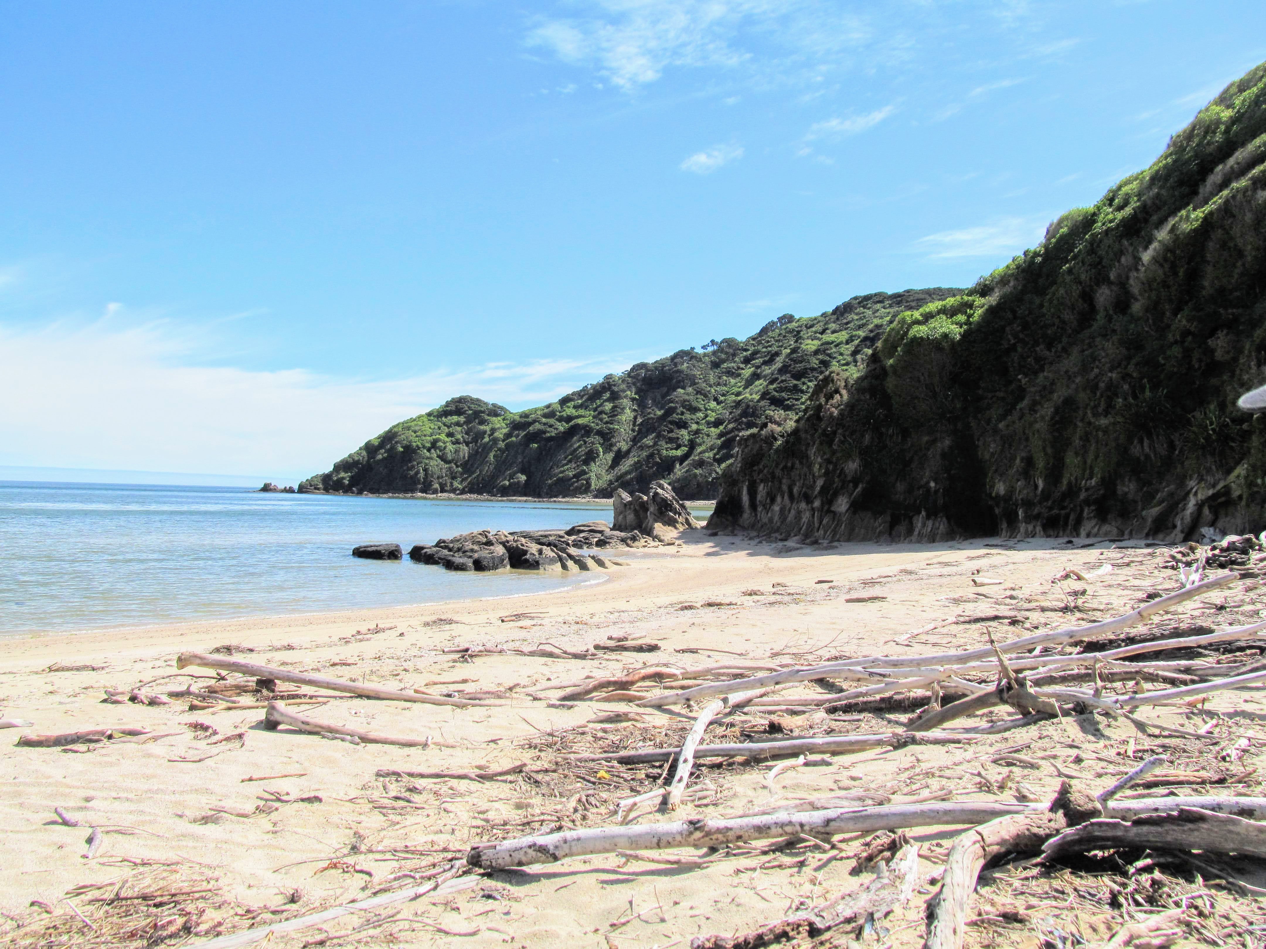 Tramping in the New Zealand backcountry: NZ Bush Adventures: Wainui ...