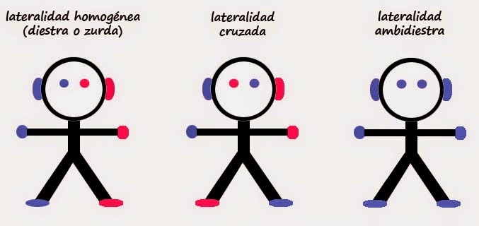 Lateralidad