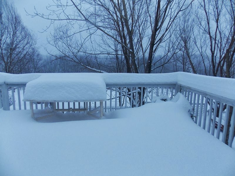 SWAC Girl: Shenandoah Valley has 15 inches of snow and still coming down
