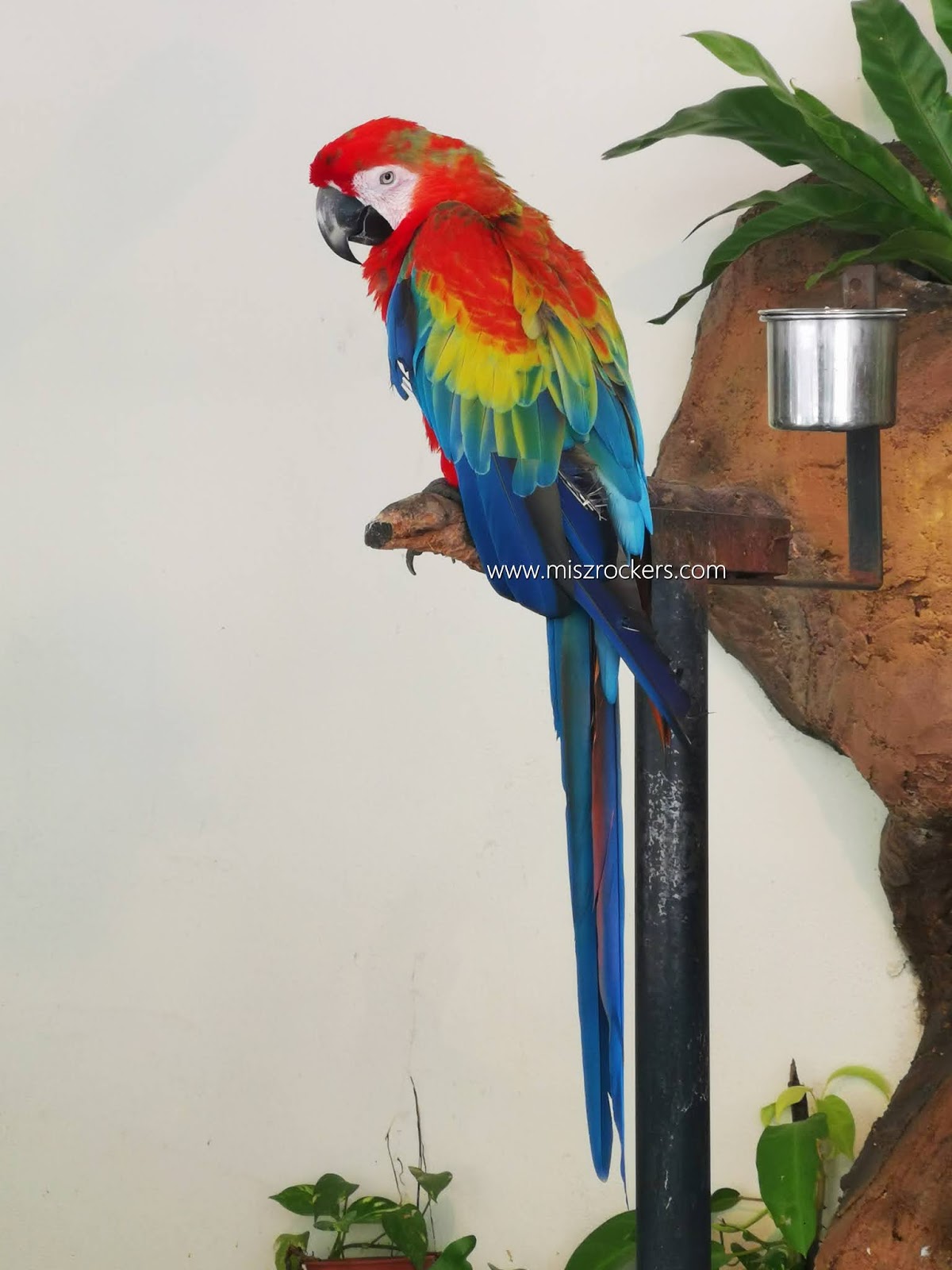 TAMAN BURUNG KUALA LUMPUR TEMPAT PERCUTIAN PERTAMA WAKTU PKPP ...