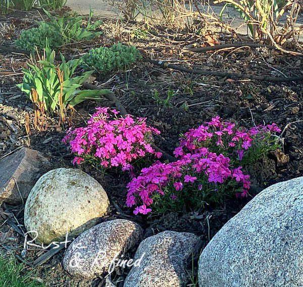 Early Spring Garden Tour | Rustic & Refined