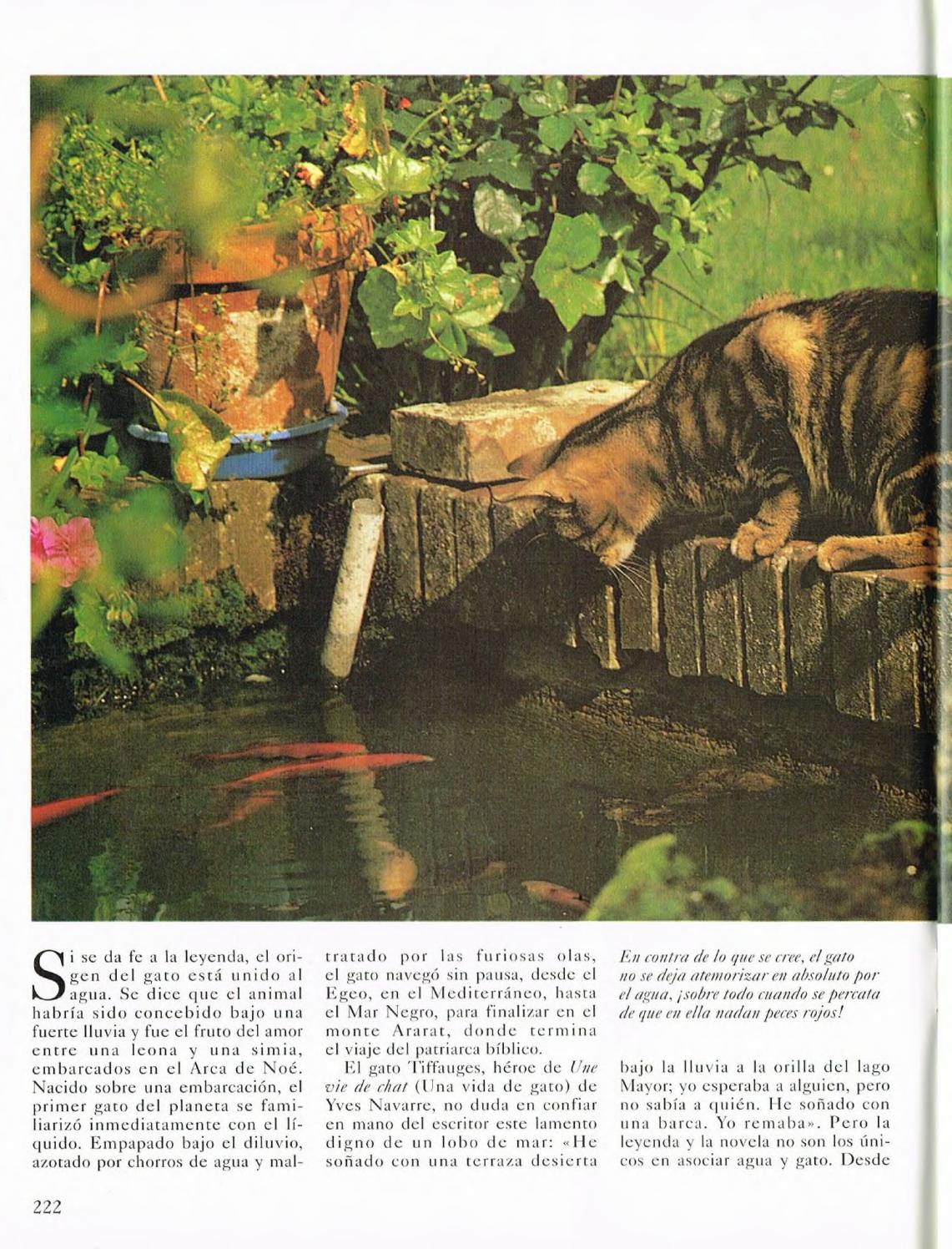 PERROS Y GATOS FAMOSOS: ENCICLOPEDIA EL GATO II SEGUNDA PARTE