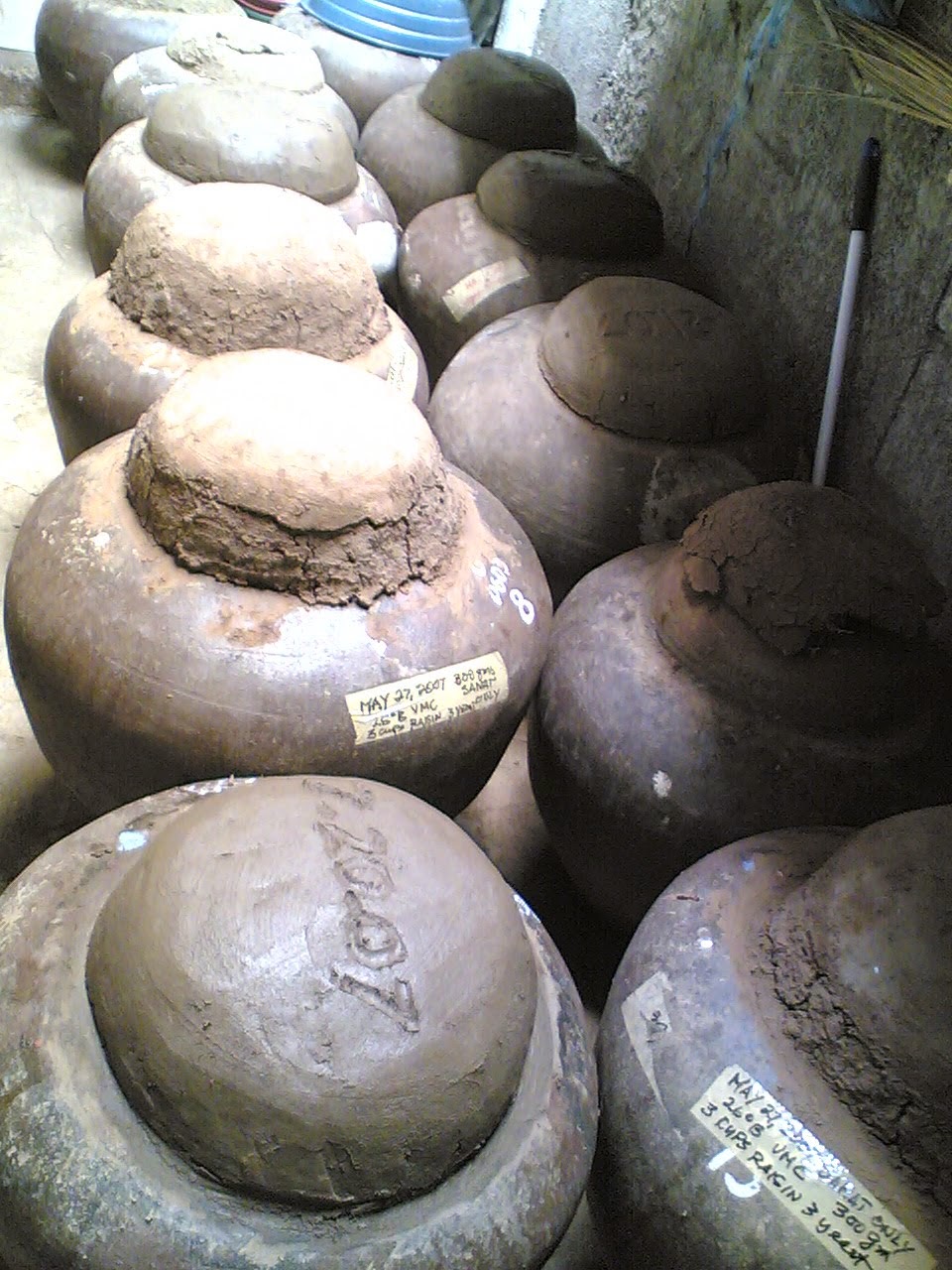 Naturalist's World - Dr Abe V Rotor : Premium Basi Wine - Signature of ...