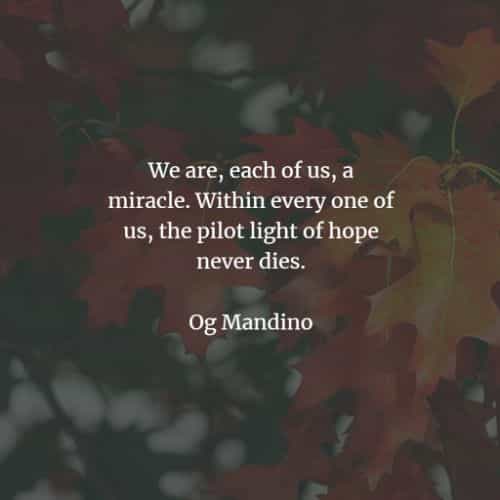 45 Miracle quotes and sayings that will enlighten you
