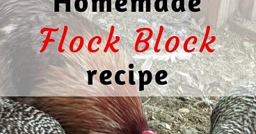 Homemade flock block recipe - Murano Chicken Farm